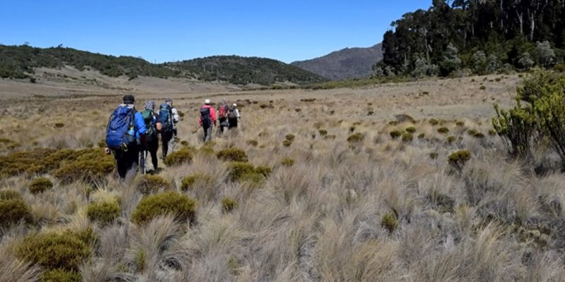 Descubra el Parque Nacional Chirripó en Costa Rica: Un tesoro de la ...
